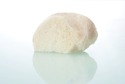 Cóndilo – OmegaMed Sureste